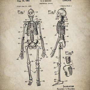 Vintage Skeleton Patent Print - Doctor Gift Medical Art - Skeleton ...