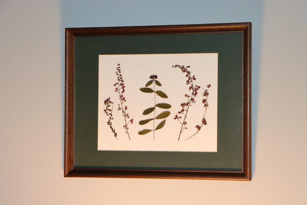 Pressed Plant Wall Art, Various Plants, Framed, Matted, Pressed Flowers ...