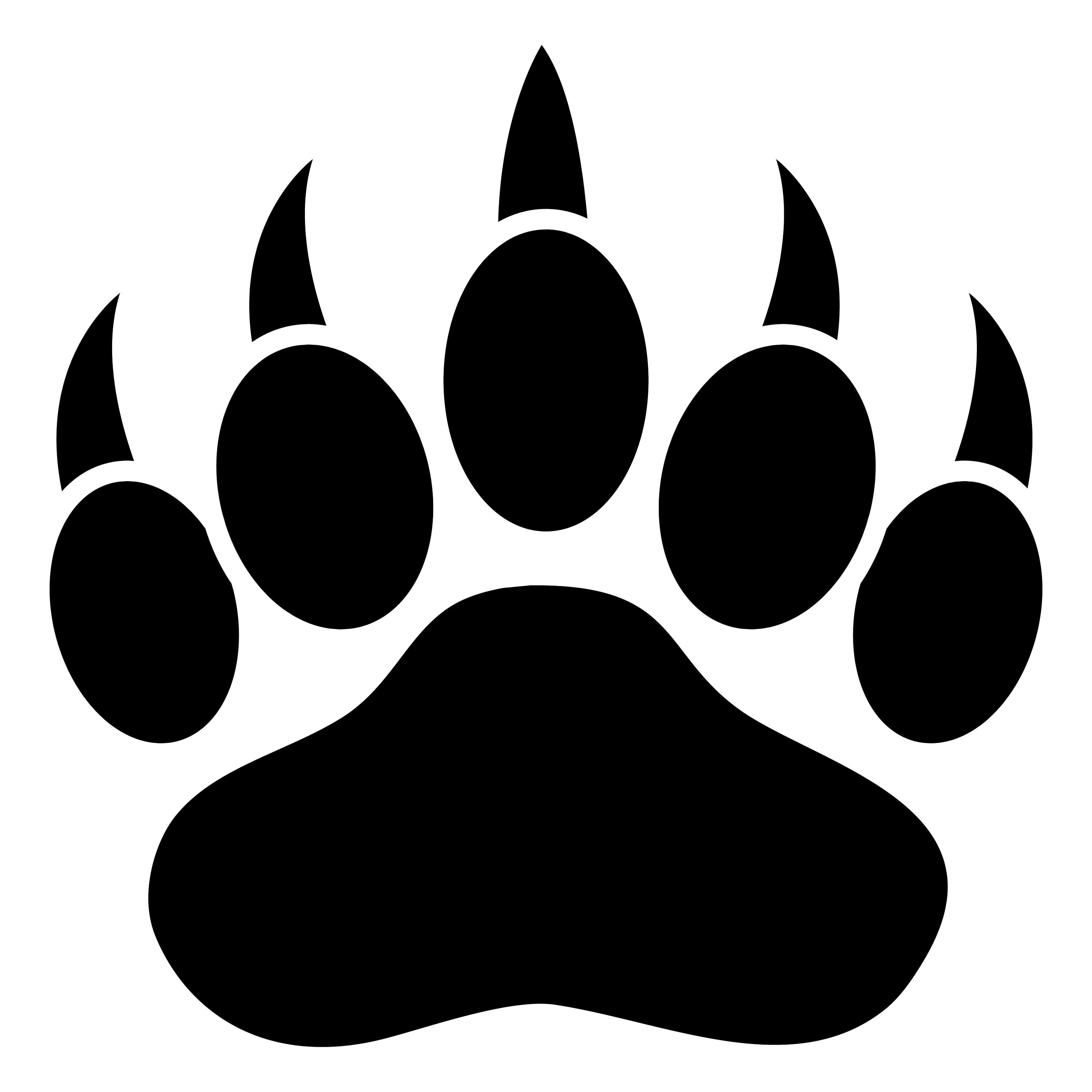 Bear Paw Digital Vector Cut Download Svg Png - Etsy