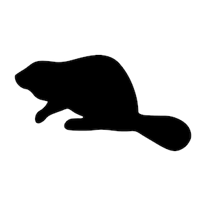 Beaver Digital Vector Cut Download Svg Png - Etsy