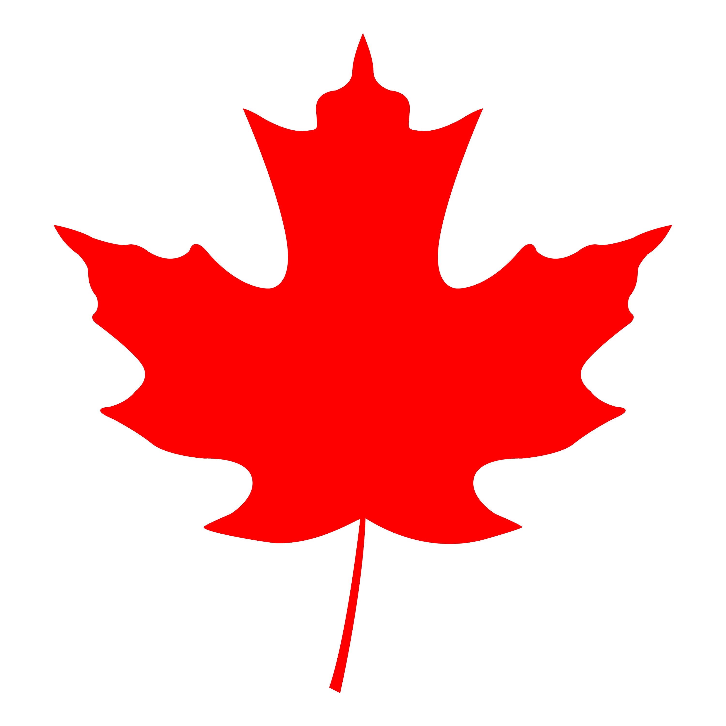 Sugar Maple Leaf Digital Vector Cut Download Svg Png - Etsy