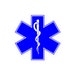 Star of Life Stickers - Etsy