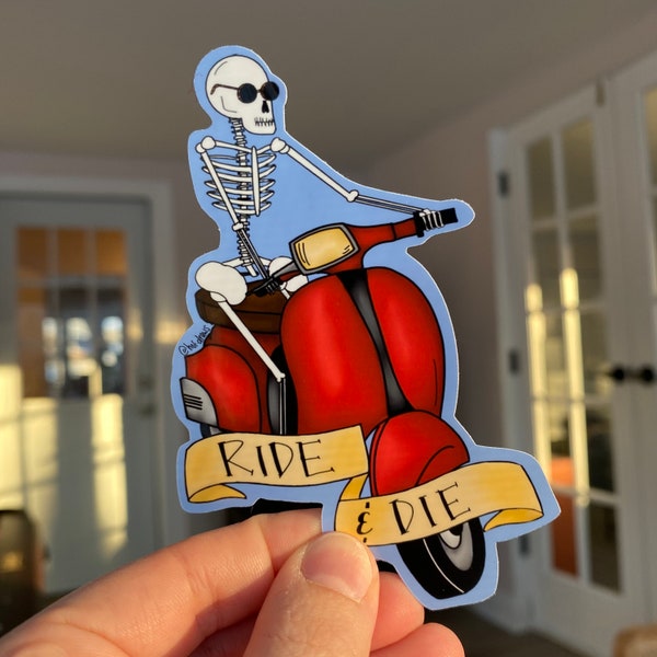 Skeleton Decal - Etsy