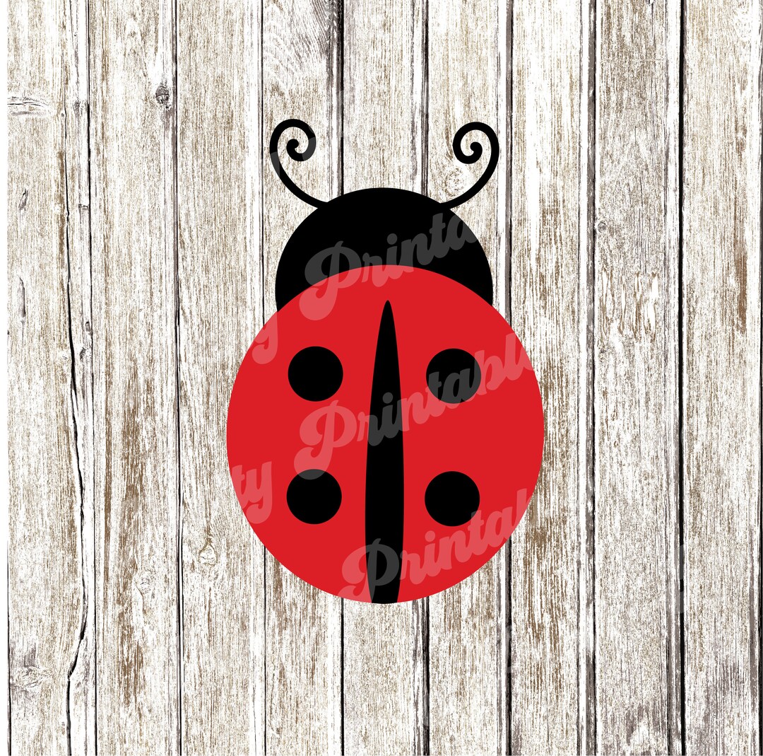Lady Bug Svg, Bug Svg, Digital, Kids Svg, Party Svg, Valentines Day ...
