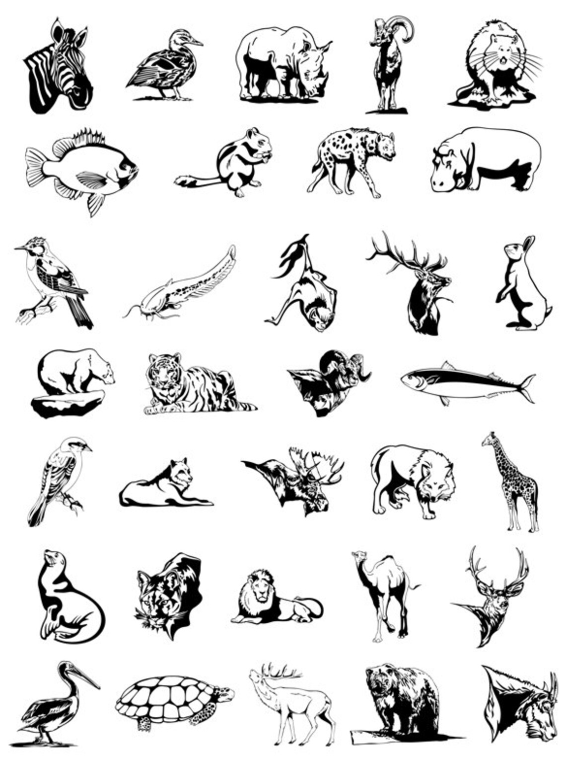 555 Graphics of Wild Life Animals Birds and Fish Clip Art - Etsy