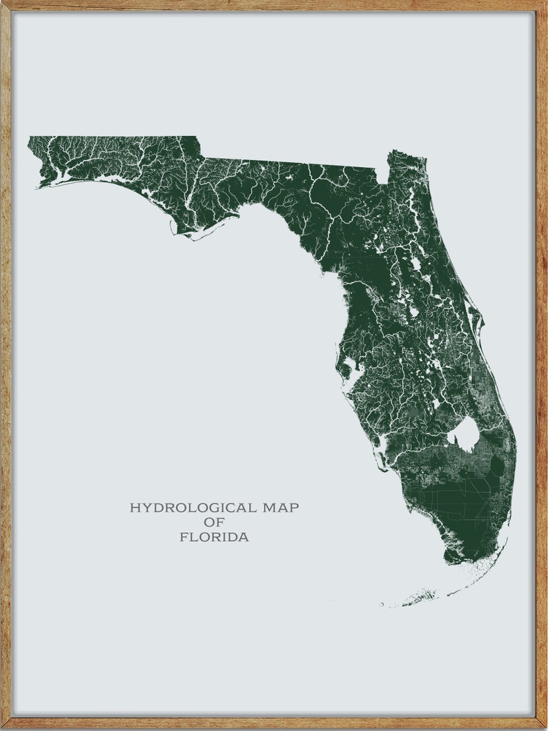 Florida Hydrological Map of Rivers and Lakes Florida Rivers | Etsy