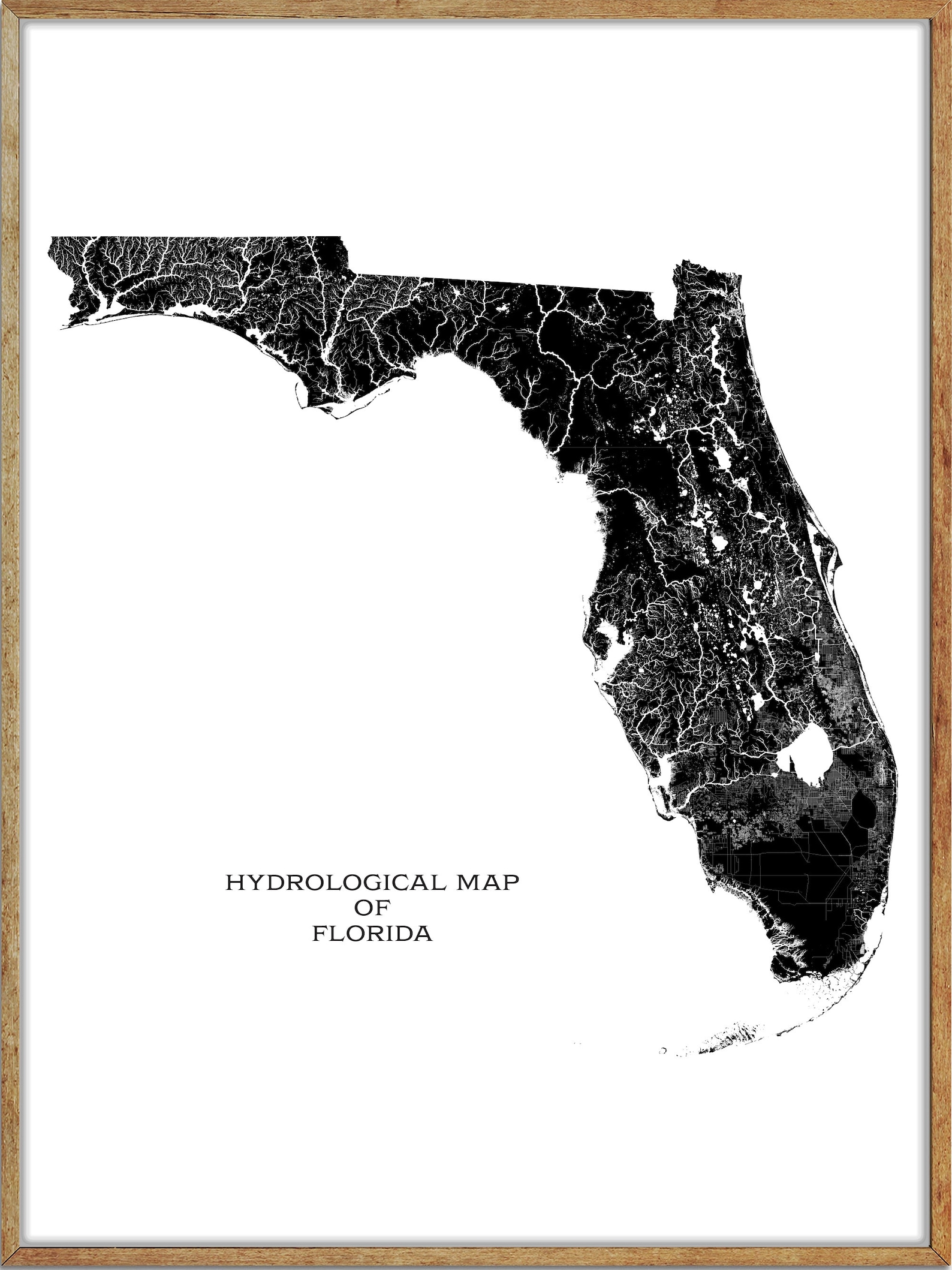 Florida Hydrological Map of Rivers and Lakes Florida Rivers | Etsy