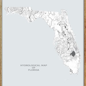 Florida Hydrological Map of Rivers and Lakes, Florida Rivers Poster Map ...