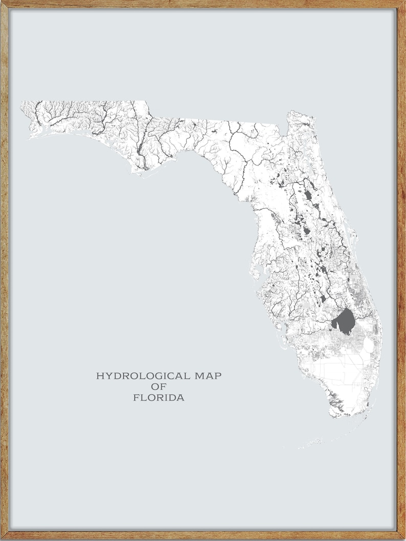 Florida Hydrological Map of Rivers and Lakes Florida Rivers | Etsy