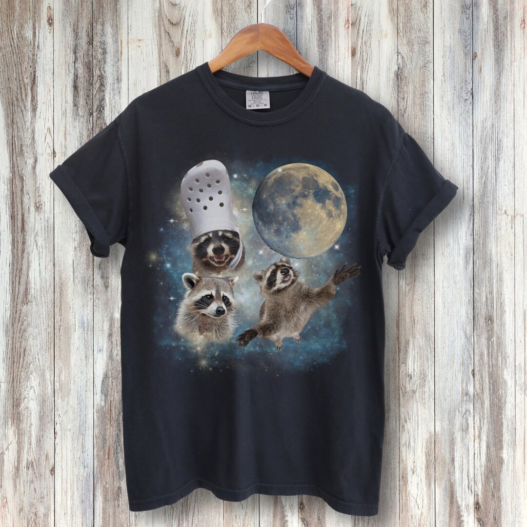 Raccoon Vintage Graphic T-shirt, Raccoon Shirt, Ironic Shirt, Raccoon ...