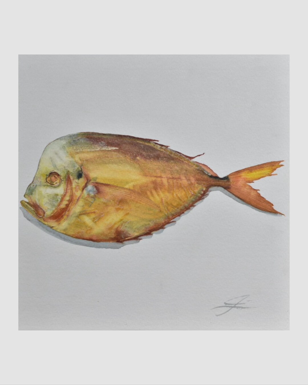 Smoked Lookdown Fish Watercolor Painting: Nautical Kitchen Art - Etsy