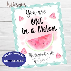 One in a Melon Appreciation Sign, PTO PTA Teacher Appreciation Week ...