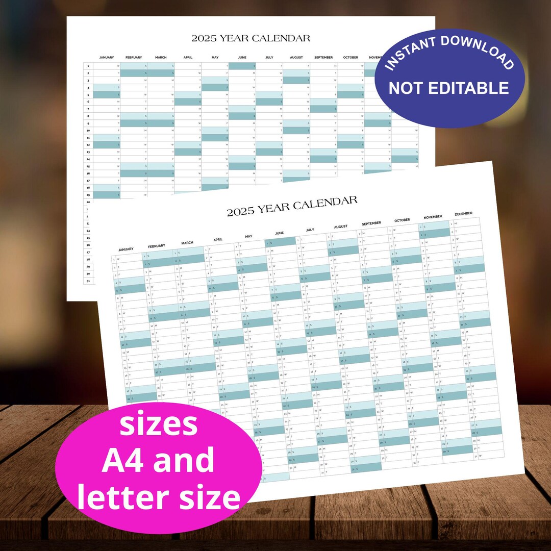 2025 Yearly Planner on 1 Page | Letter and A4 Size | 365-day Overview ...