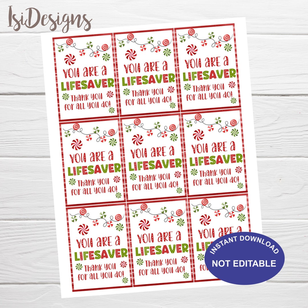 Christmas Appreciation Thank You Tags, Download, Teacher PTO/PTA Nurse ...