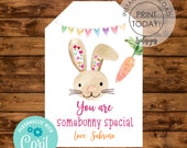 Editable Meet the Teacher, Welcome Students, Back to School, Open House ...