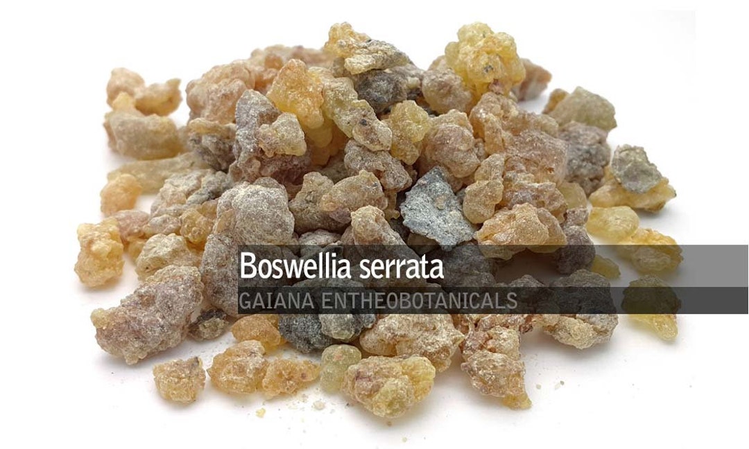 Frankincense 100% Pure Boswellia Serrata Resin, High Quality Natural ...