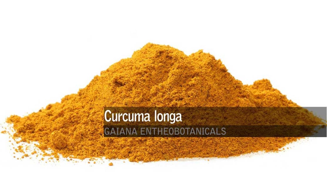Organic Curcuma Powder, 100% Curcuma Longa Root Powder, Bio Turmeric ...