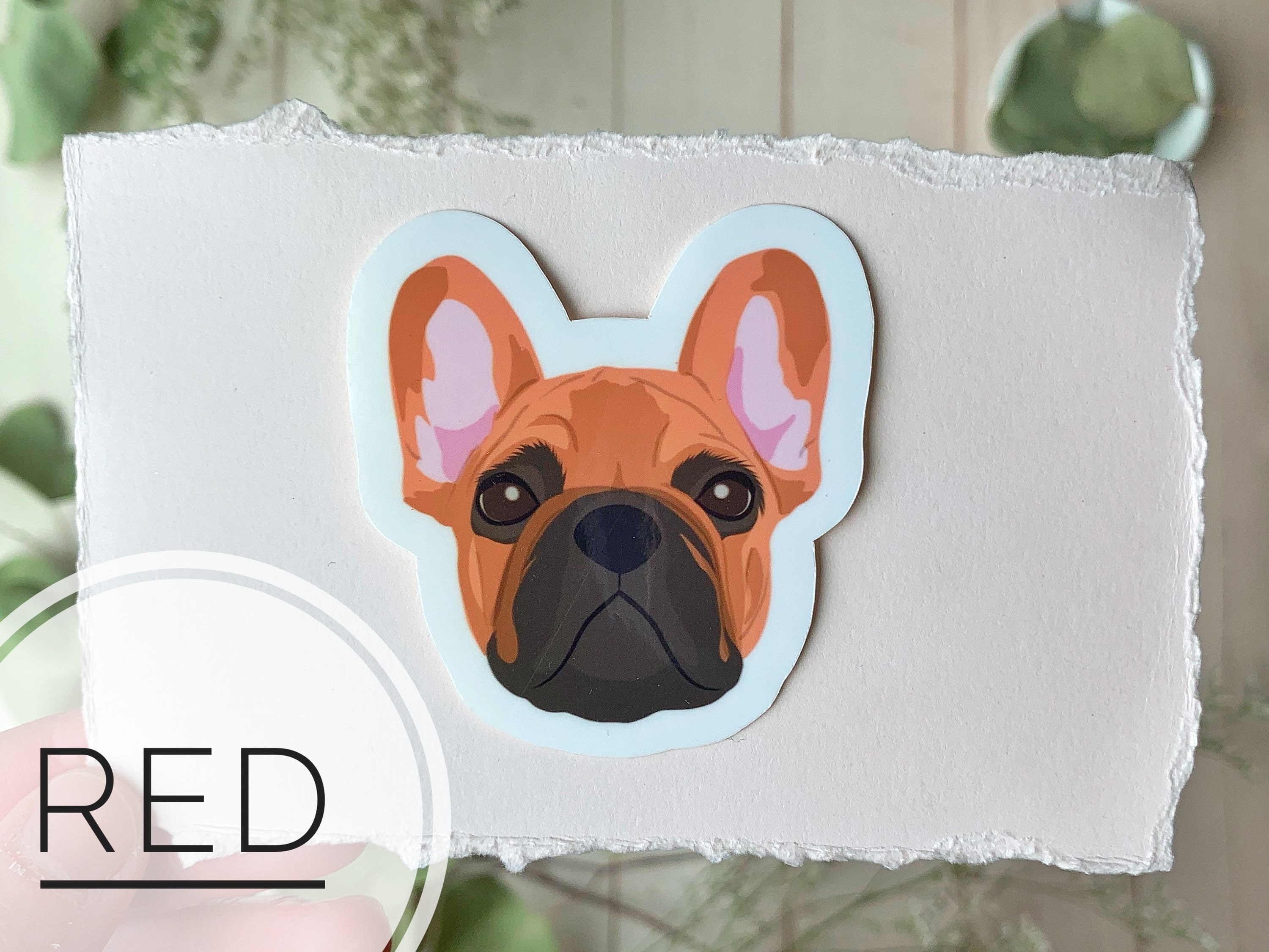Waterproof French Bulldog Vinyl Stickers Frenchie Vinyl | Etsy