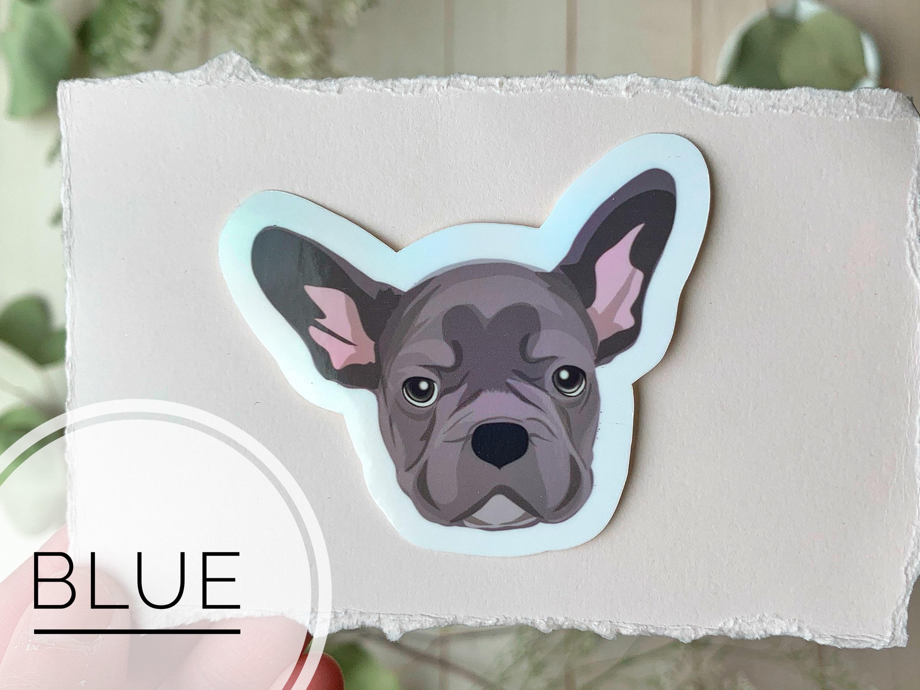 Waterproof French Bulldog Vinyl Stickers Frenchie Vinyl | Etsy