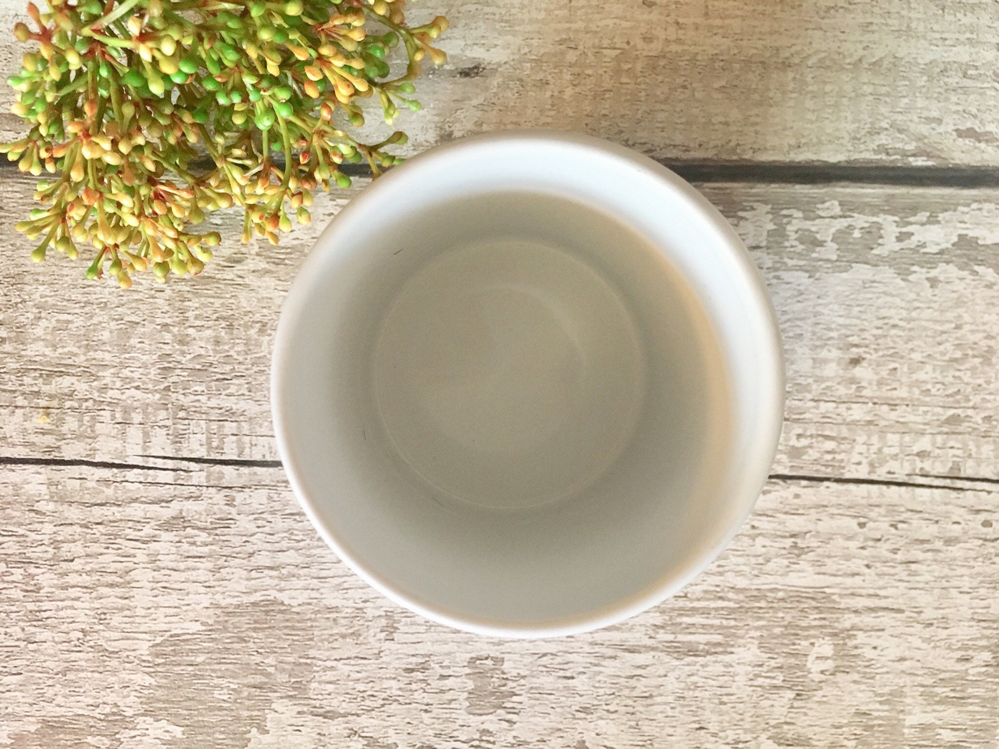 Plant Pot Planter Cactus Pot Rude Gift Gift for Women - Etsy UK