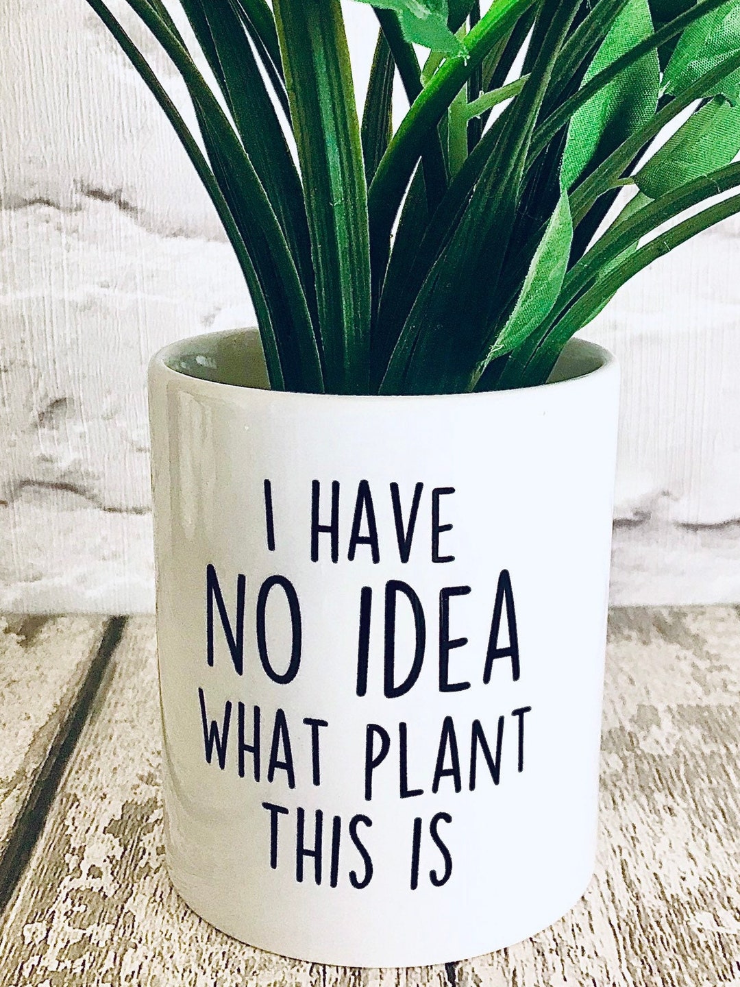 Plant Pot, Planter, Cactus Pot, Rude Gift, Gift for Women, Funny Plant ...