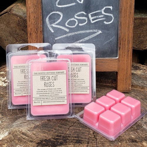 DIY Wax Melt Kit Step by Step Instructions Included Use With | Etsy