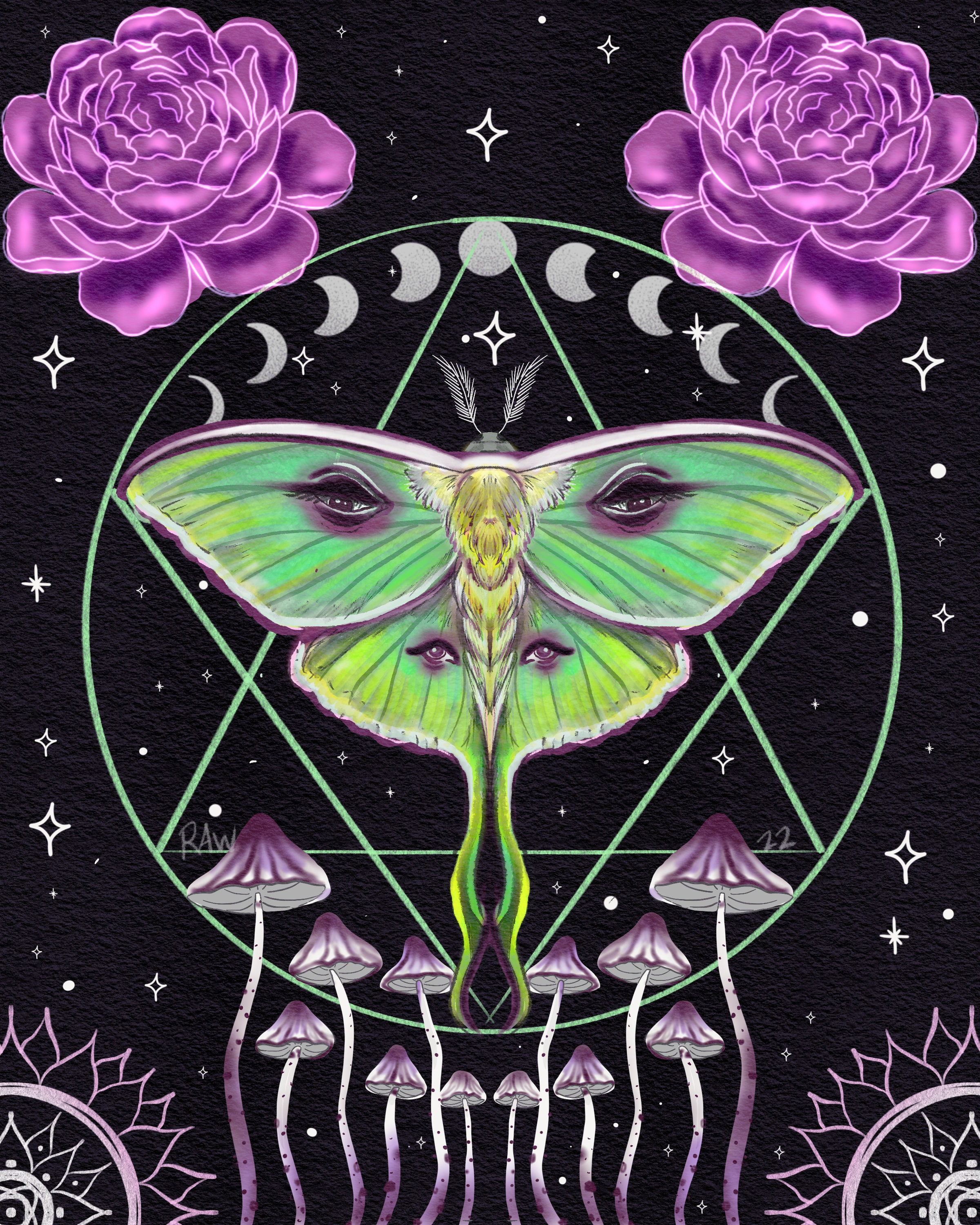 Lunar Moth Wall Art/ Art for Walls / Decorations/ Decor/ - Etsy