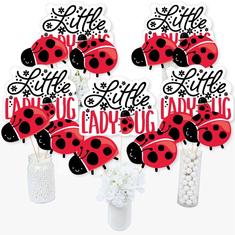 Ladybug Theme Party - Etsy