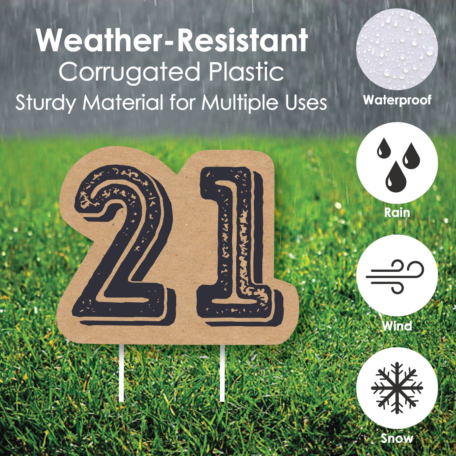 Finally 21-21st Birthday Yard Sign and Outdoor Lawn | Etsy