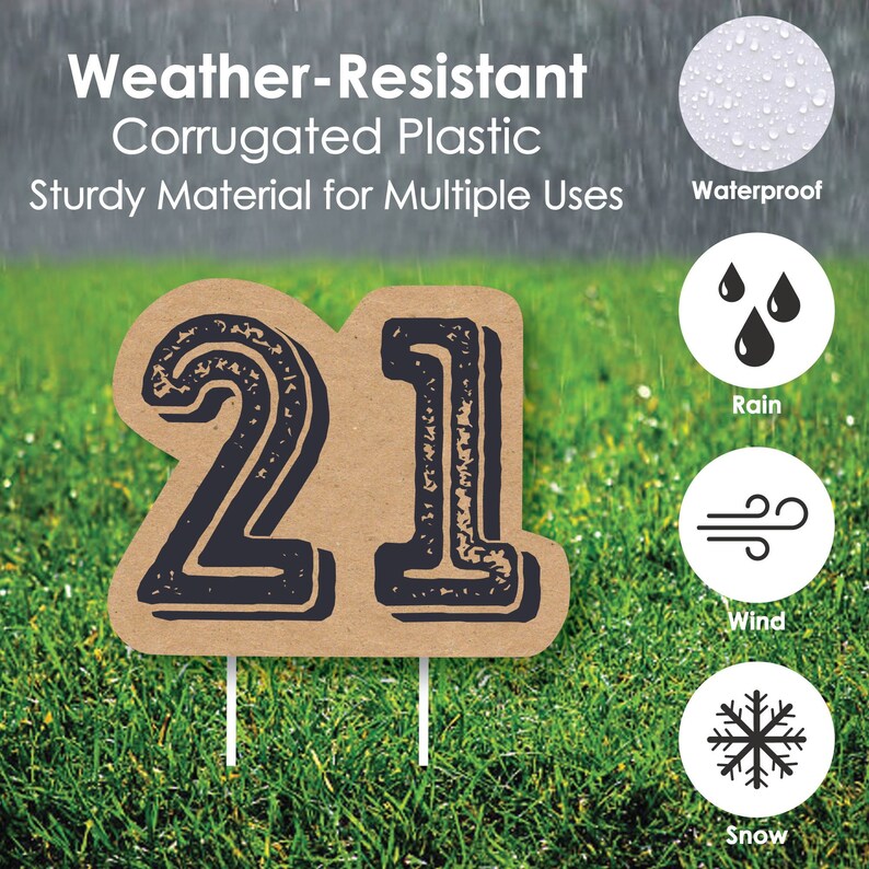 Finally 21-21st Birthday Yard Sign and Outdoor Lawn - Etsy