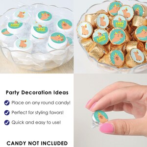 Capy Birthday - Capybara Party Small Round Candy Stickers - Party Favor ...
