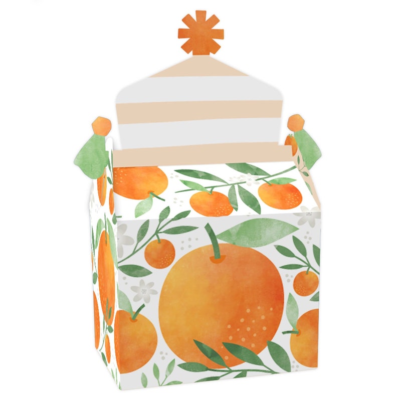 Little Clementine Treat Box Party Favors Orange Citrus - Etsy