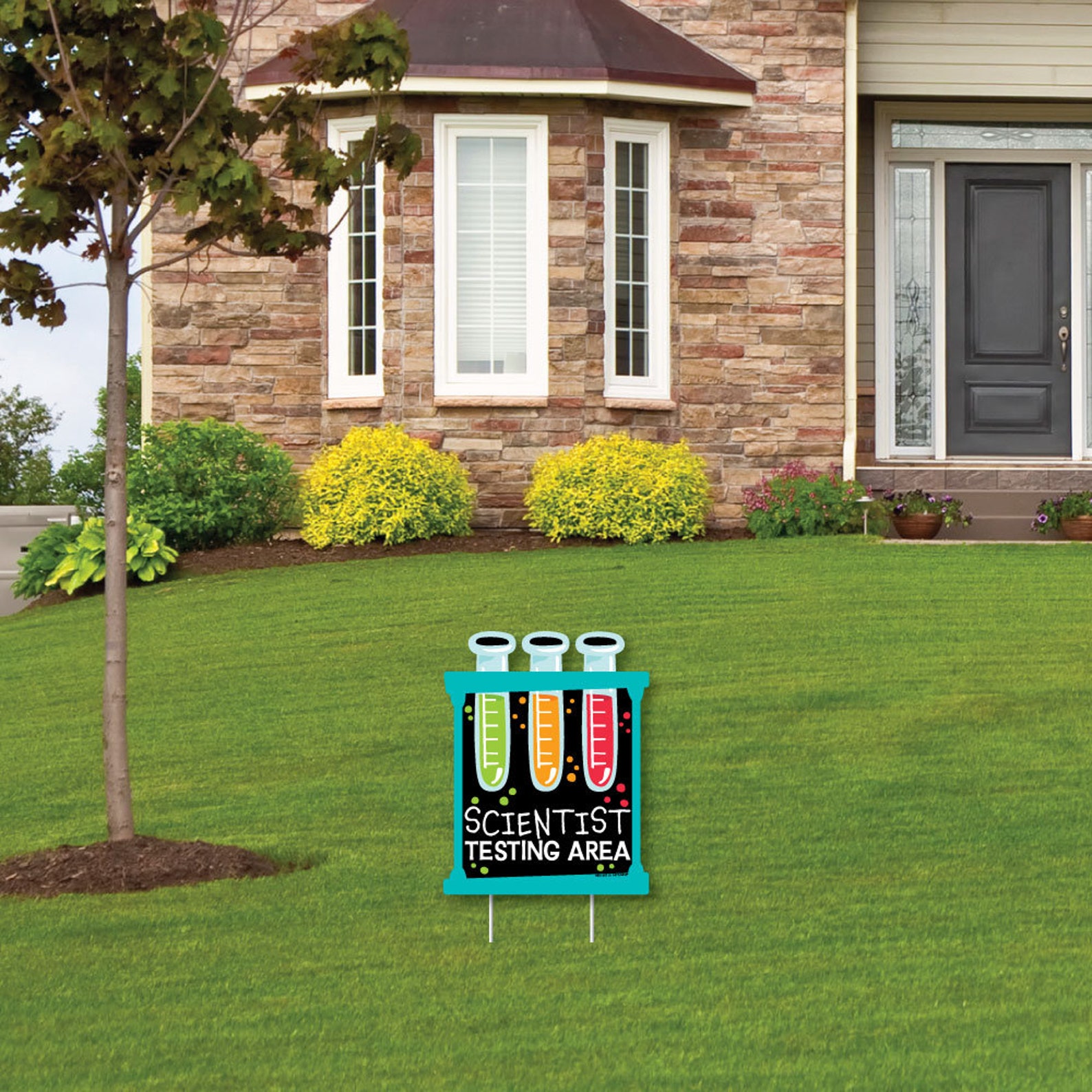 Scientist Lab Outdoor Lawn Sign Mad Science Baby Shower or - Etsy