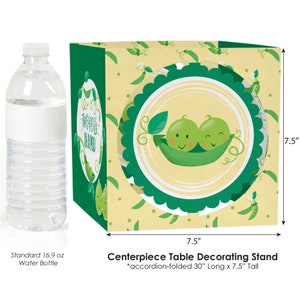 Double the Fun - Twins Two Peas in A Pod Centerpiece & Table Decoration ...