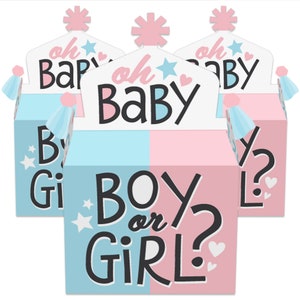 Baby Gender Reveal - Treat Box Party Favors - Team Boy or Girl Party ...