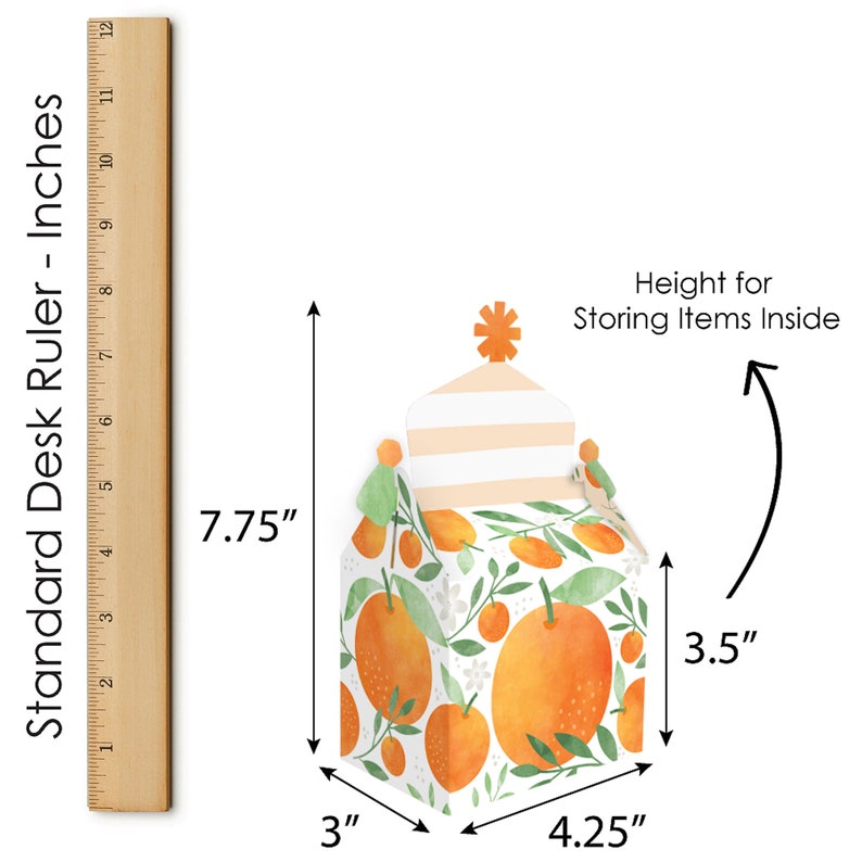 Little Clementine Treat Box Party Favors Orange Citrus - Etsy