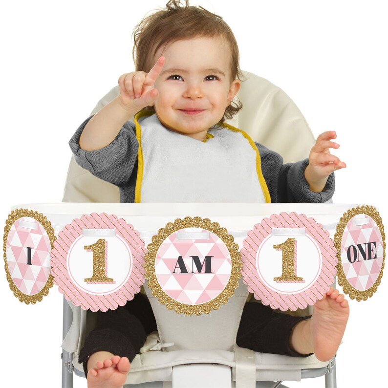 Fun to Be One 1st Birthday Girl 1st Birthday I Am One - Etsy
