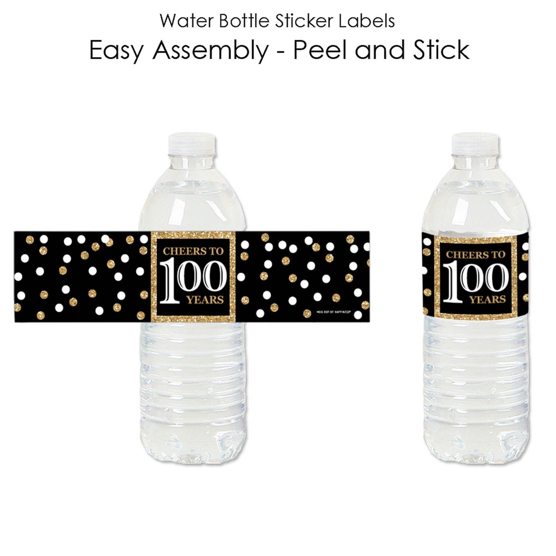 100th Birthday Party - Water Bottle Sticker Labels - Waterproof Self ...