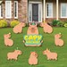 Capy Birthday Yard Sign and Outdoor Lawn Decorations Capybara Party ...