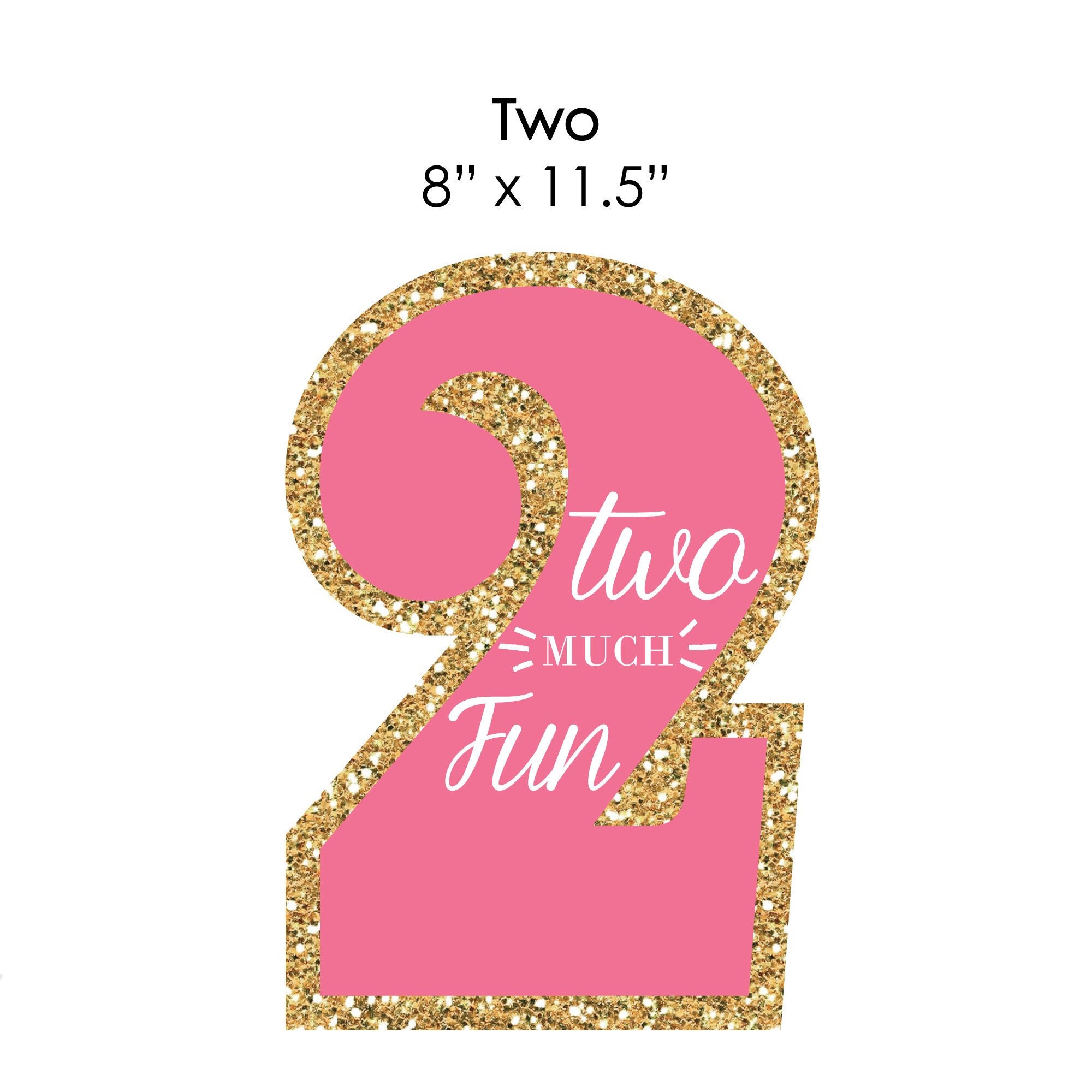 Two Much Fun 2nd Birthday Girl Lawn Decorations Outdoor - Etsy