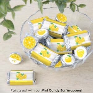 So Fresh - Lemon - Citrus Lemonade Party Small Round Candy Stickers ...