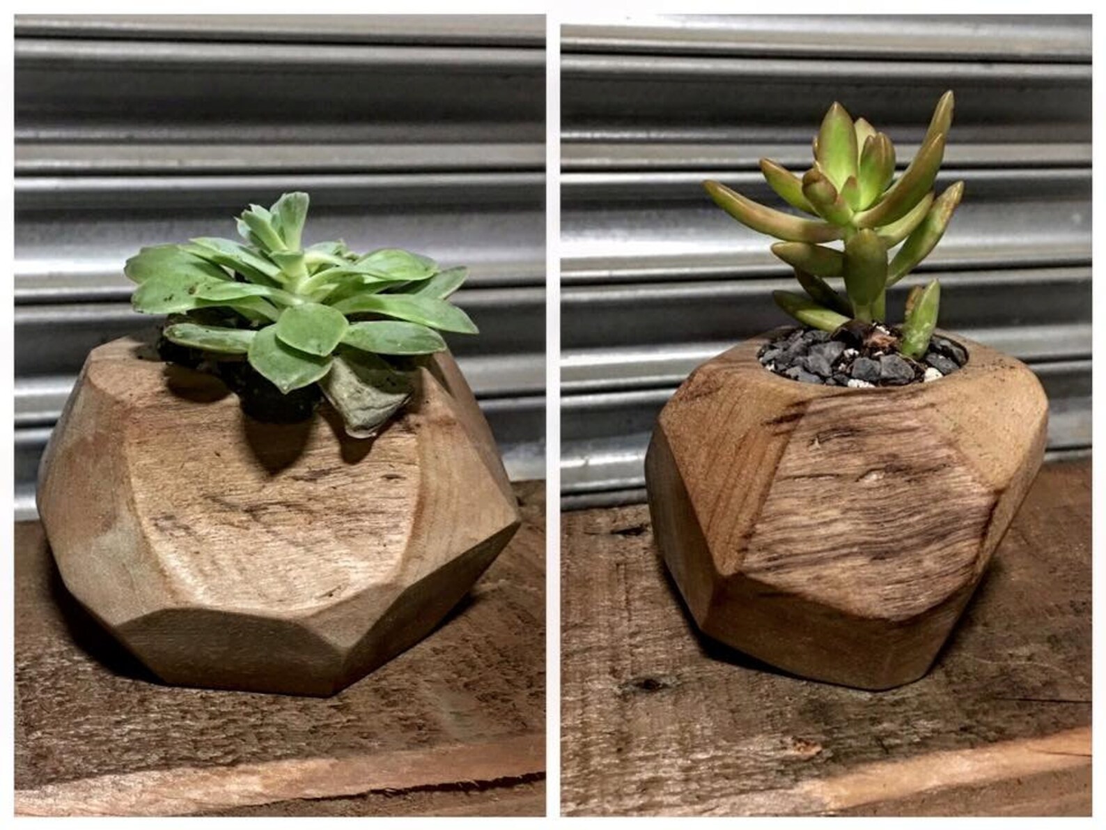 Reclaimed Wood Plant Pods | Etsy