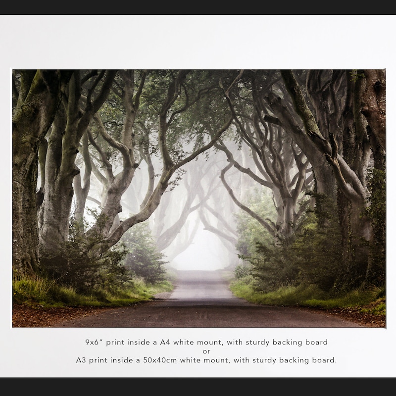 Dark Hedges Wall Art - Etsy UK