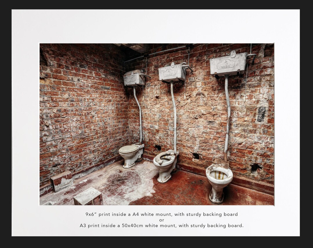 The Magic Toilets, Abandoned / Derelict Ireland fine Art Print Various ...