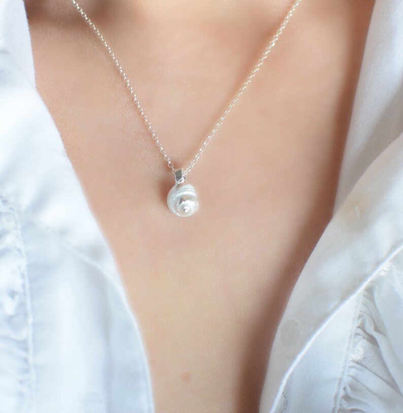 Shark Eye Shell Necklace - Etsy