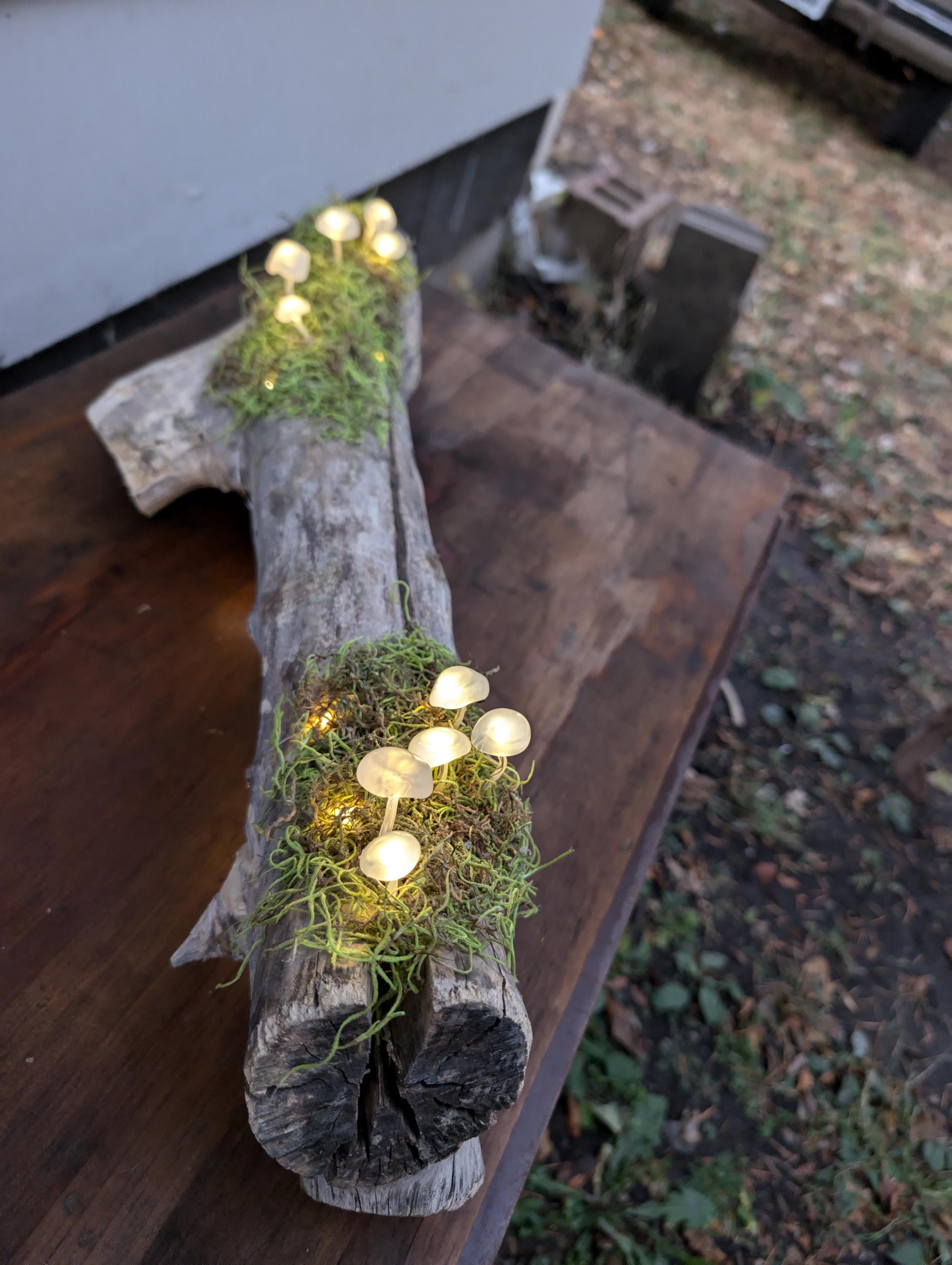 Enchanted Light-up Mushroom Log Handmade Woodland Decor Driftwood Art ...