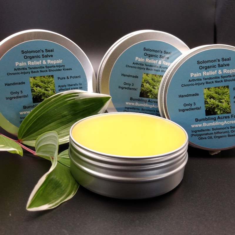 Seal Skin Gift - 60+ Gift Ideas for 2025