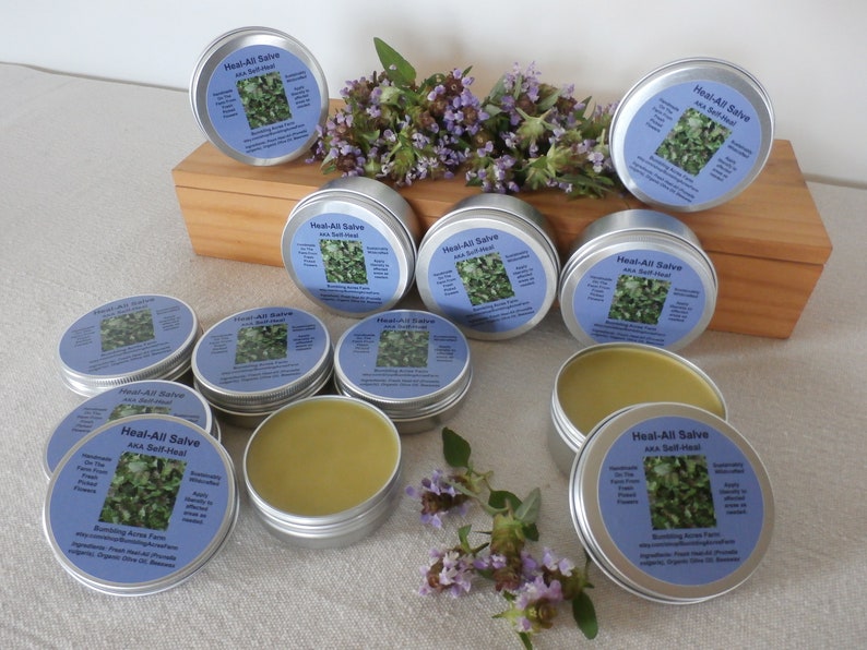 Prunella Vulgaris Heal-all Double Infused Salve Organic Handmade Small ...