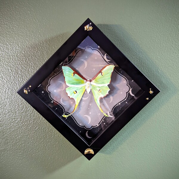 Acrylic Shadow Box - Etsy