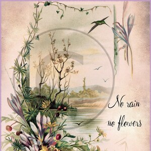 No Rain No Flowers Quote Wall Decor Print Home Decor Wall Art Day Wall ...